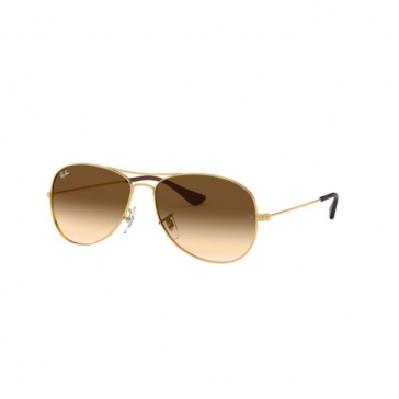 Harrell's Rewards from EOP - Ray-Ban Cockpit Sunglasses - Arista ...